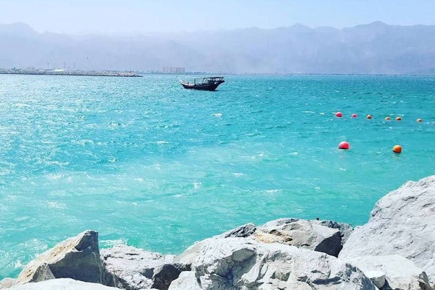 Dibba Bay Oysters