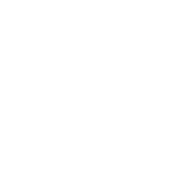 XXI ICE